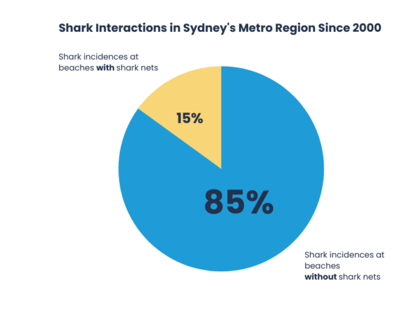 Shark Nets are Ineffective and Harmful to Marine Life